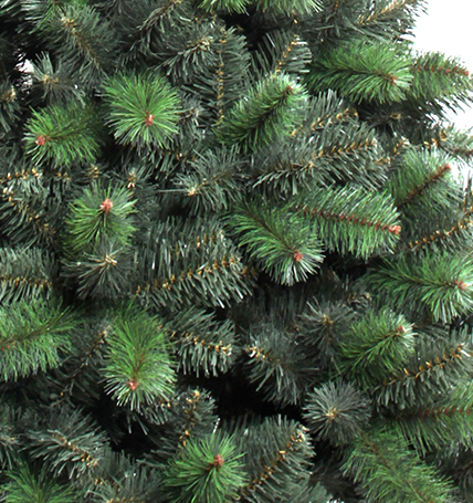 Vail Tree - 6 ft. – Aliss Puerto Rico