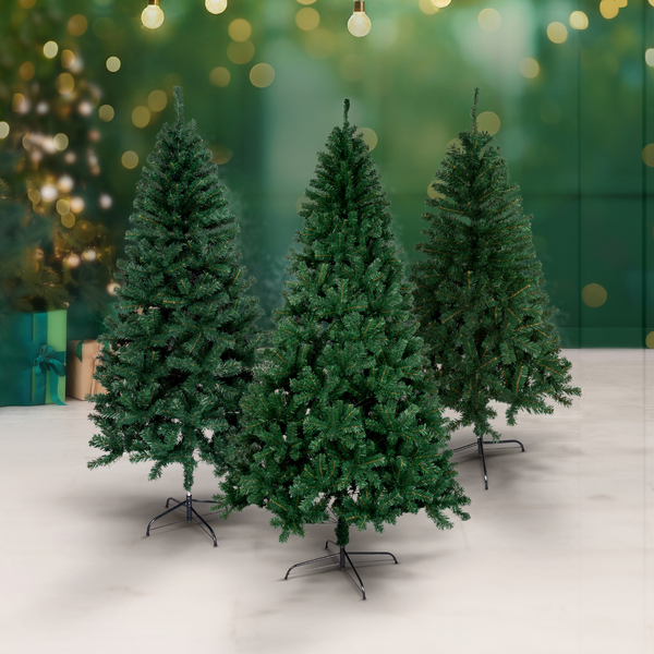 Evergreen Tree - 5 ft. – Aliss Puerto Rico